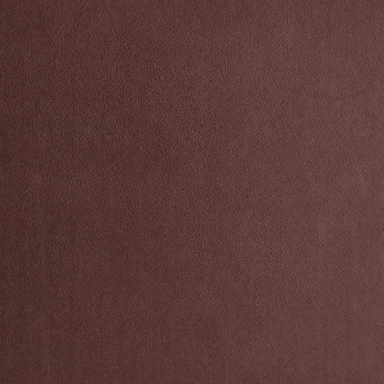 Heirloom Albums » Callie Manion Fine Art Wedding Photographer ...